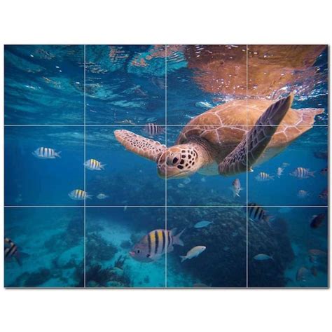 Turtle Backsplash Etsy