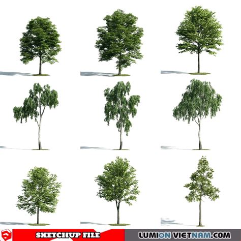 Sketchup Trees