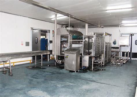 Chick Handling System Qingdao Xingyi Electronic Equipment Co Ltd