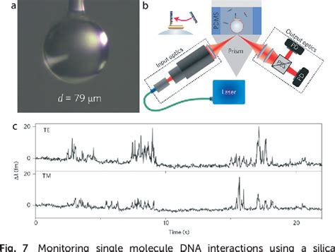 Figure 1 From Oligonucleotide Based Label Free Detection With Optical Microresonators