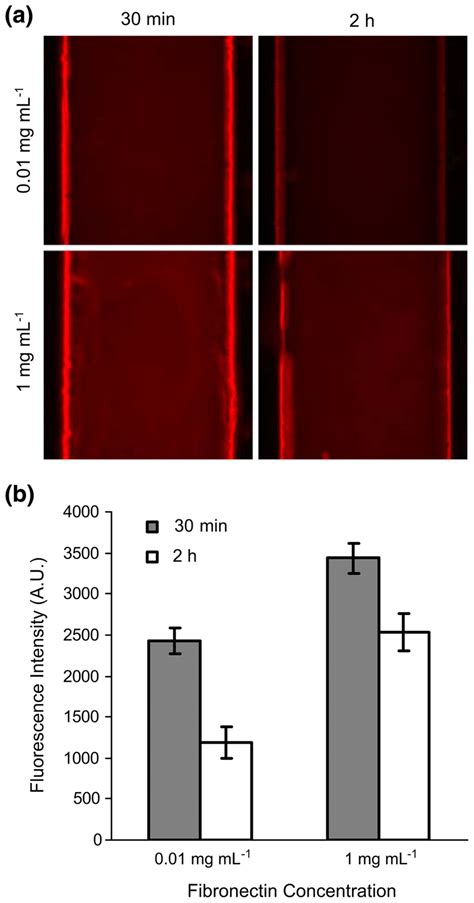 Fibronectin Coating Efficiency On The Pdms Surface In A Cell μchip Download Scientific Diagram