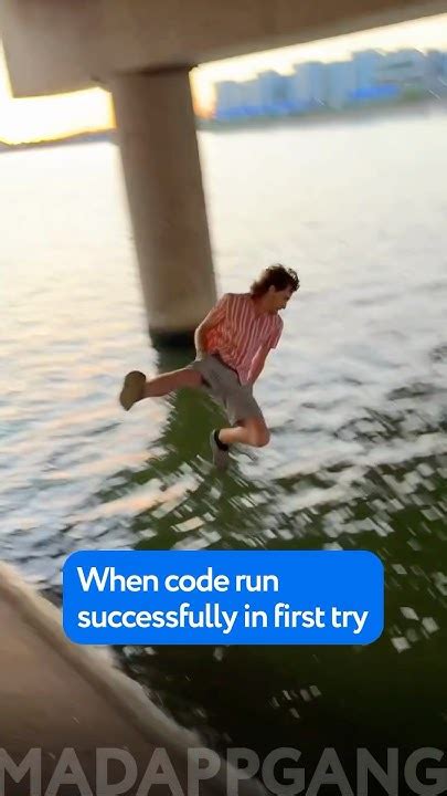 When Code Runs Successfully On The First Try 🫠 Shorts Codinghumor