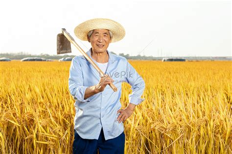 농부 아저씨는 논에서 산책 사진 무료 다운로드 Lovepik