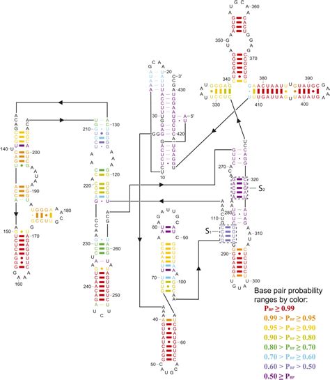 probknot fast prediction of rna secondary structure including pseudoknots
