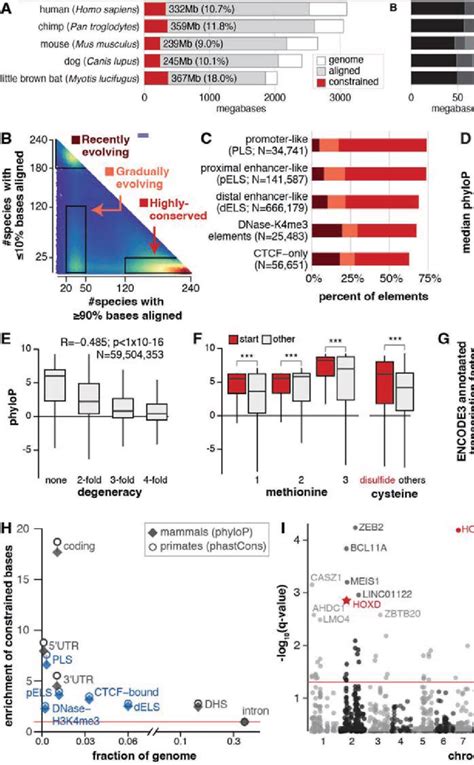 Comparing 240 Species Resolves Mammalian Constraint To Single Bases
