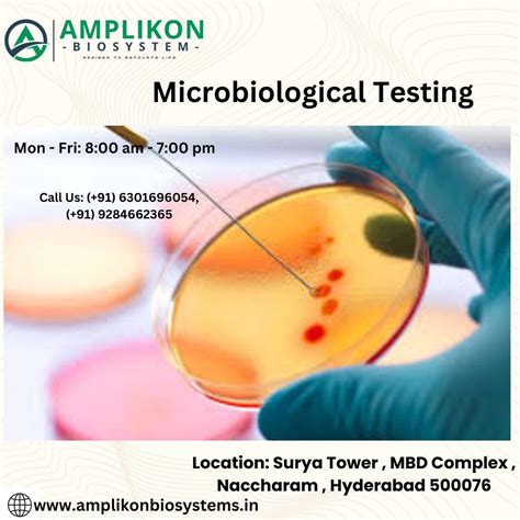 Revolutionizing Microbiological Testing Precision And Innovation Amplikon Biosystem Medium