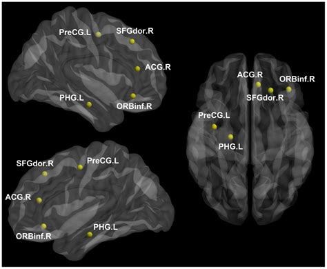Significant Interactions Nodal Centrality Differences Between Gender