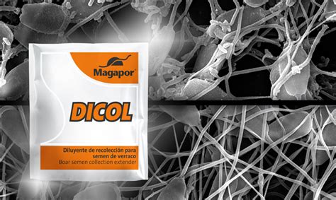 Dicol The Solution To Contamination Problems Magapor