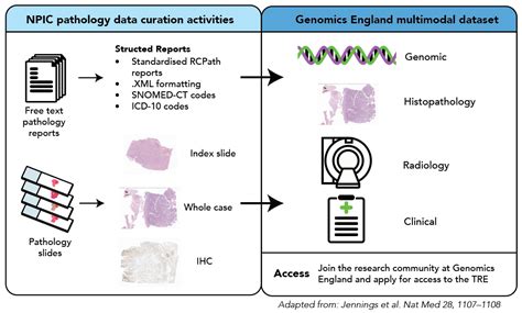 Launching A Global Standard Resource For Cancer Genomics England
