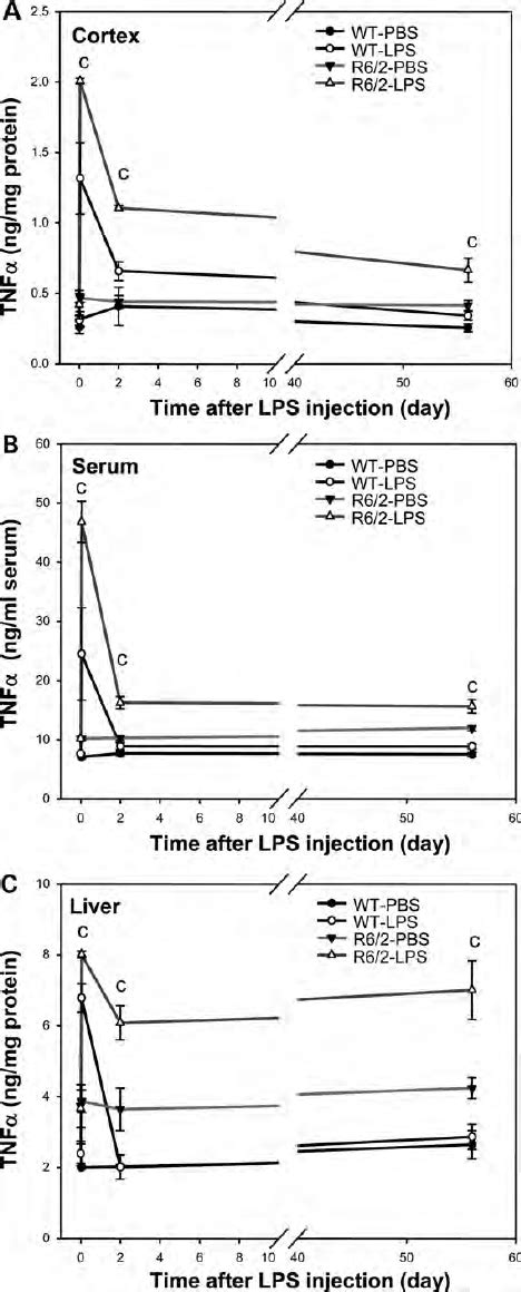 r6 2 mice reacted much more strongly to systemic inflammatory stimuli