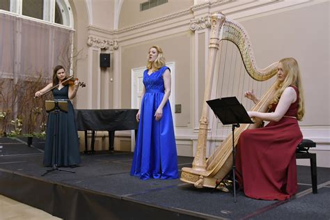 Galerie Beautiful Strings Galerie Beautiful Strings