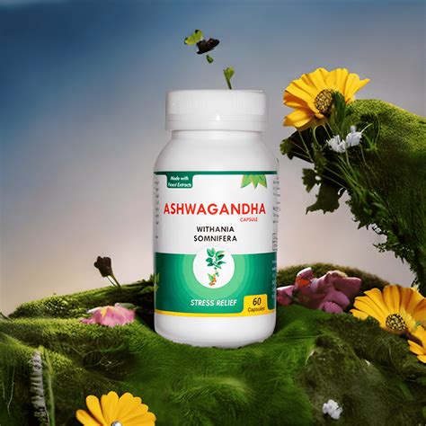 Ashwagandha Capsules Anti Oxidant Improves Memory And Learning Copy