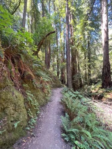 10 Best Trails And Hikes In Stinson Beach Alltrails