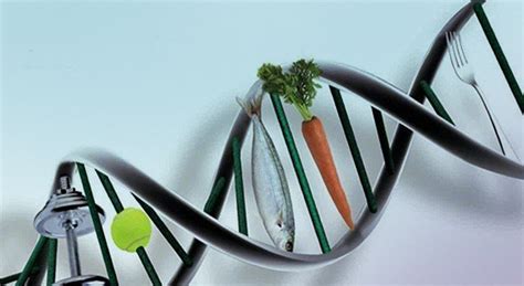 Testul Nutrigenetic Advanced Ngx 1 Realizat De Compania Advanced