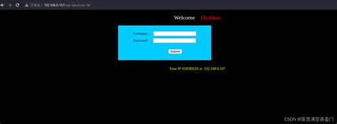 Sqli Labs全通关教程（手工注入工具使用sqlmap）sqlilabs Csdn博客