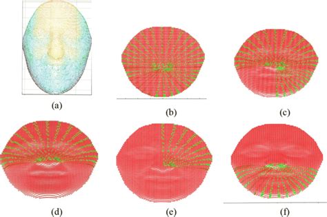 Radial Curves Of Different Rotation Angles Download Scientific Diagram