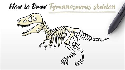 How To Draw A Fossil At Robert Bader Blog
