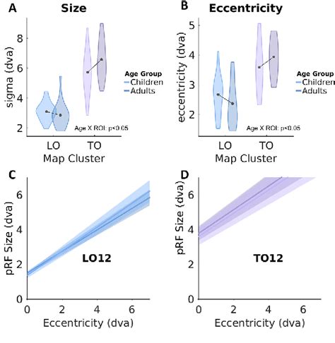 Figure 4 From Development Of Population Receptive Fields In The Lateral Visual Stream Improves