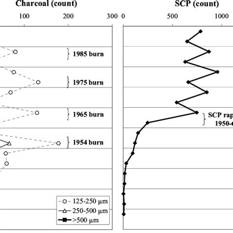 Concentration Of Different Size Classes Of Charcoal Fragments And Scp Download Scientific