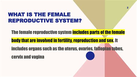 Female Reproductive System Grade 10 Ppt Pptx