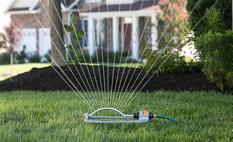 Planting Grass Seeds In Spring At Pauline Dane Blog