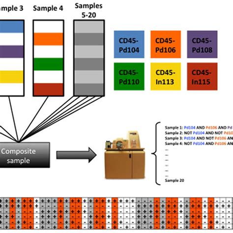 Pdf Barcoding Of Live Human Peripheral Blood Mononuclear Cells For