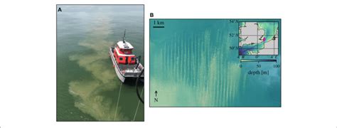 Sediment Plumes Generated By Cylindrical Structures A Wake And Download Scientific Diagram