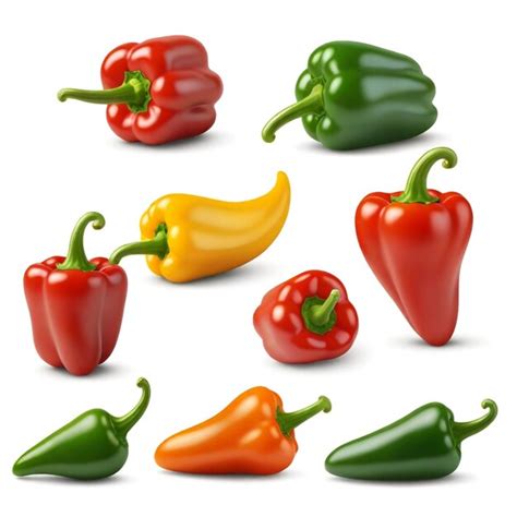 Premium Vector A Collection Of Colorful Peppers With The Words A Pepper On The Bottom