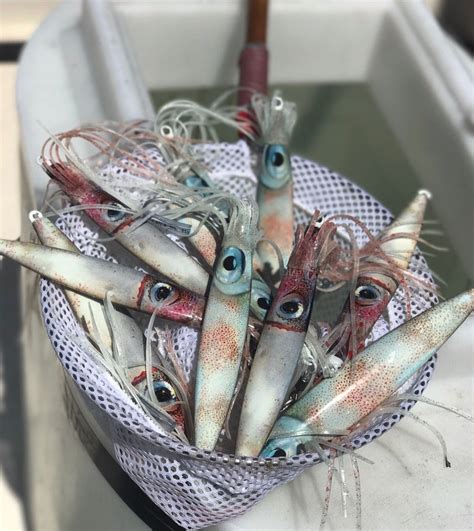 Lingcod Jigs