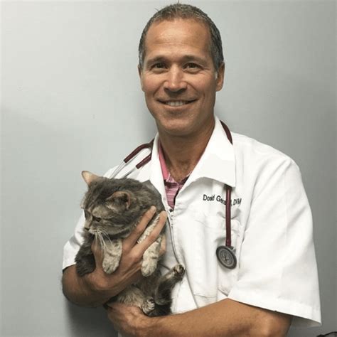 Best Veterinary Hospital In Bellevue Wa Bellevue Animal Hospital