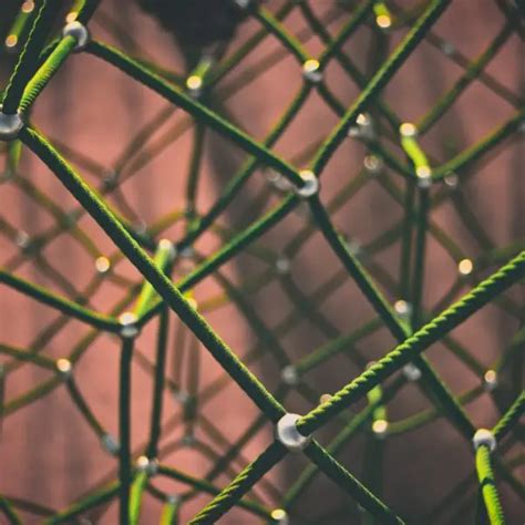 What Are Relatives And Close Associates Rcas