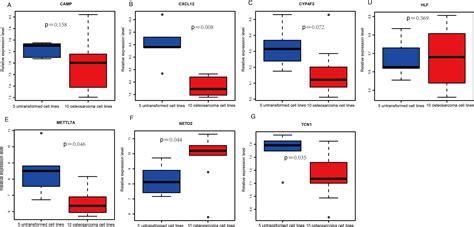 Identification Of Potential Gene Signatures Associated With Osteosarcoma By Integrated