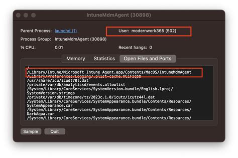Understanding MacOS Management With IntuneMDMAgent And Configuration Profiles Part Company