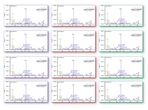 De Novo Sequencing Workflows