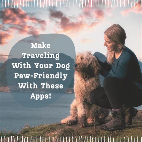Traveling With Your Furry Friend: 4 Apps to Make it Easier