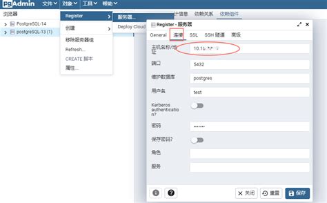 Pgadmin远程登录pg数据库 墨天轮