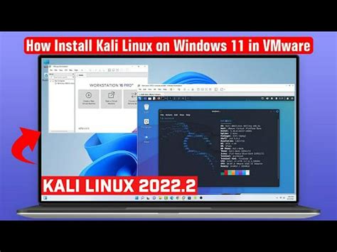 How To Install Kali Linux On Windows Using VMware Kali Linux