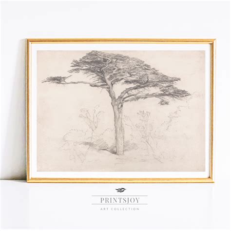 Vintage Tree Scketch Tree Of Life Botanical Prints Printable