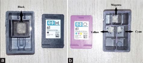 Bacterial Bioprinting On A Flexible Substrate For Fabrication Of A Colorimetric Temperature