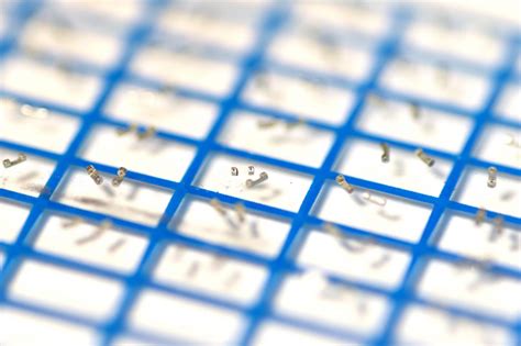 Micro Edm For Medical Devices Imc Intertech