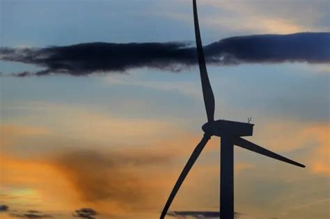 Vector X Cel X Cel Superturn Ltd