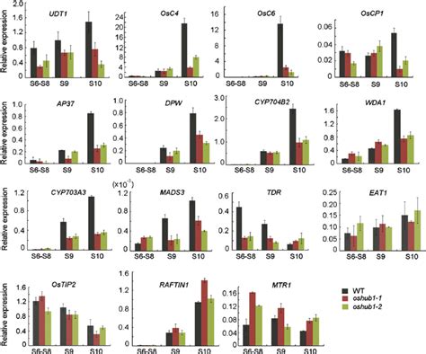 Qrt Pcr Expression Analysis Of Genes Reported To Be Involved In Rice Download Scientific