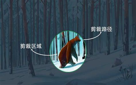 Css属性参考 Clip Pathjquery之家 自由分享jquery、html5、css3的插件库