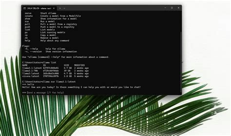 windowsでollamaをamd gpuで動かす方法 genspark