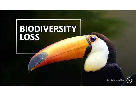 Biodiversity Loss Simplify To Amplify Environmental Design