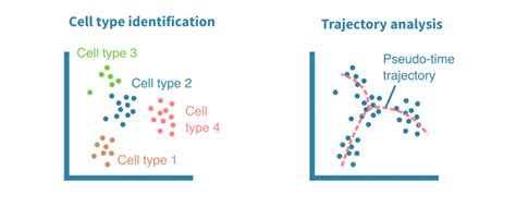 Rna Sequencing Data Analysis Genevia Technologies