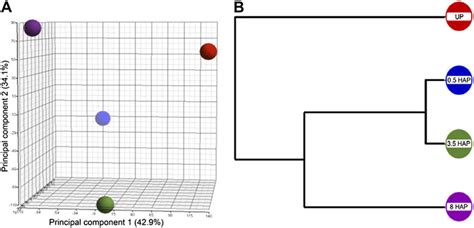 PCA And Hierarchical Clustering Of Time Course Transcriptome Data A Download Scientific
