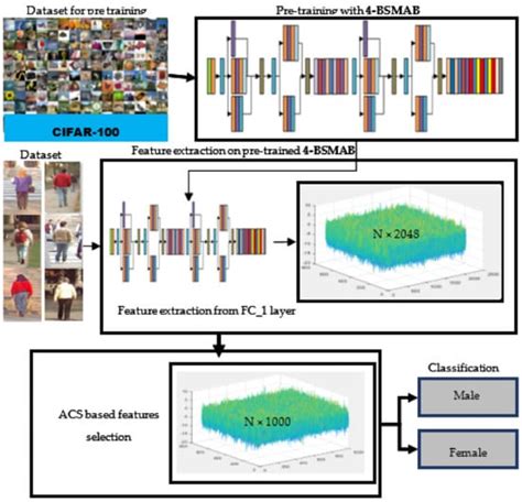 mathematics free full text gender classification using proposed cnn