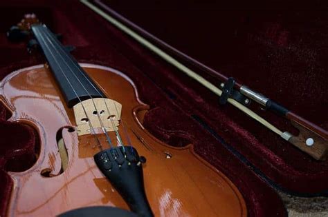 Violín Qué es tipos definición y concepto