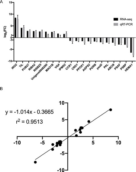 The Validation Of Transcriptome Using Qrt Pcr A The 20 Genes Download Scientific Diagram